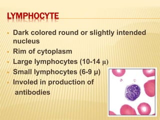 Leucocytes | PPTX