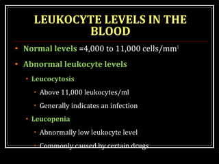 LEUCOCYTES | PPT