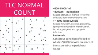 LEUCOCYTES/ WBCs BY DR K AMBAREESHA GOUD | PPSX
