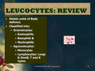 Leucocytes Physiology by Dr.M.Anthony David MD | PPT