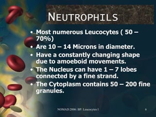 Leucocytes Physiology by Dr.M.Anthony David MD | PPT