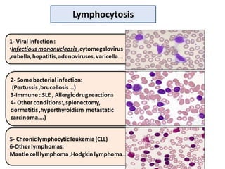 Leucocytosis and leucopenia | PPTX