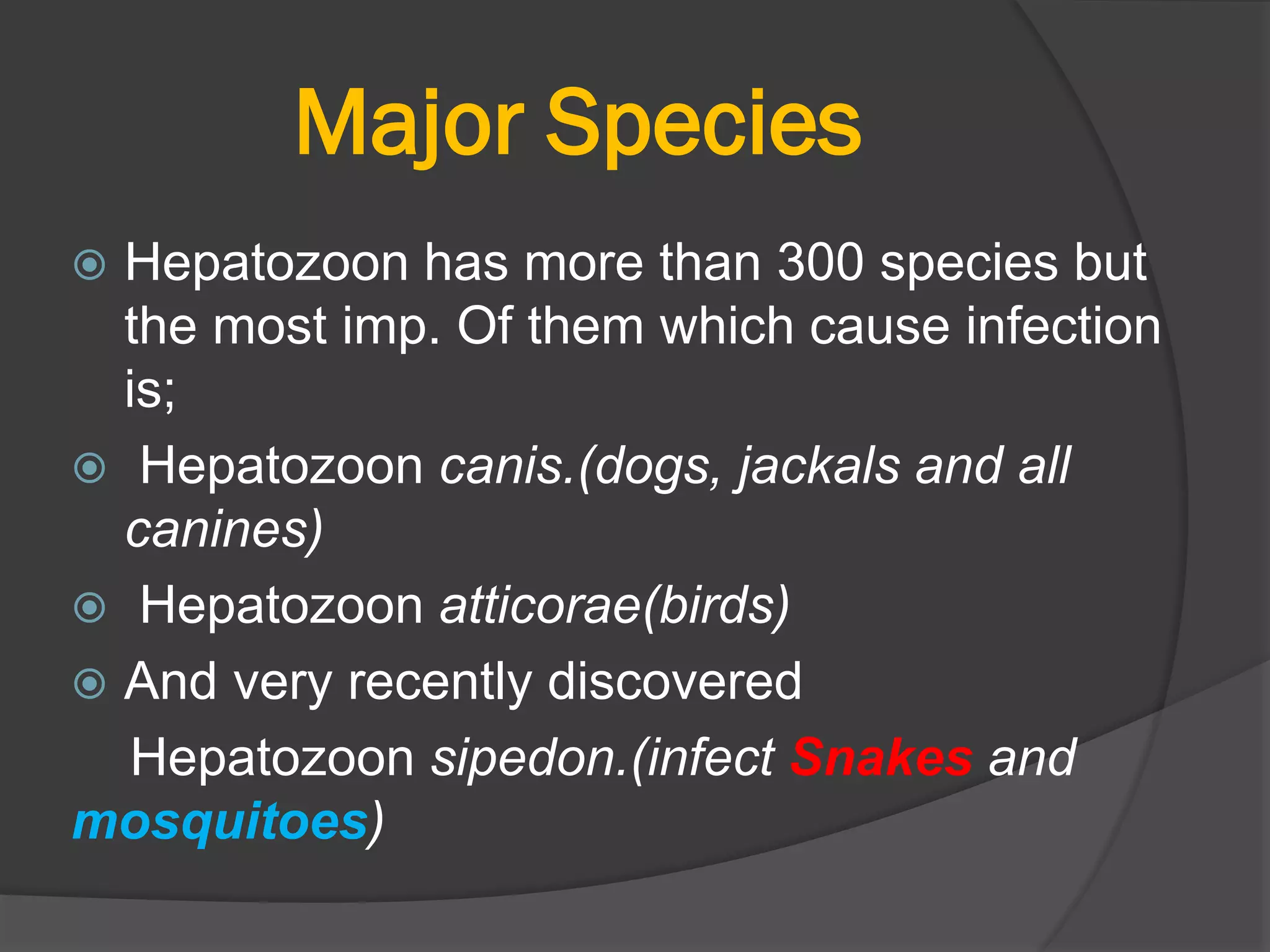 Leucocytozoon & Hepatozoon | PPTX