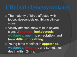 Leucocytozoon & Hepatozoon | PPTX