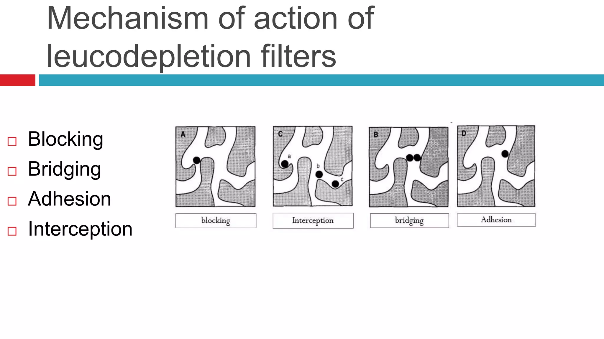 Leucodepletion filters | PPTX