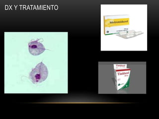 Leucorrea, vaginosis,vaginitis,cervicitis | PPTX