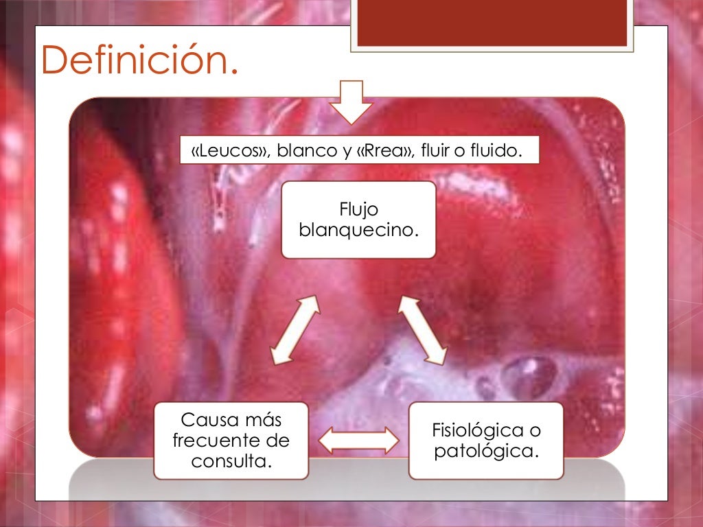 Leucorreas 2014.
