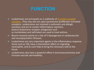 Leucotrienes | PPTX
