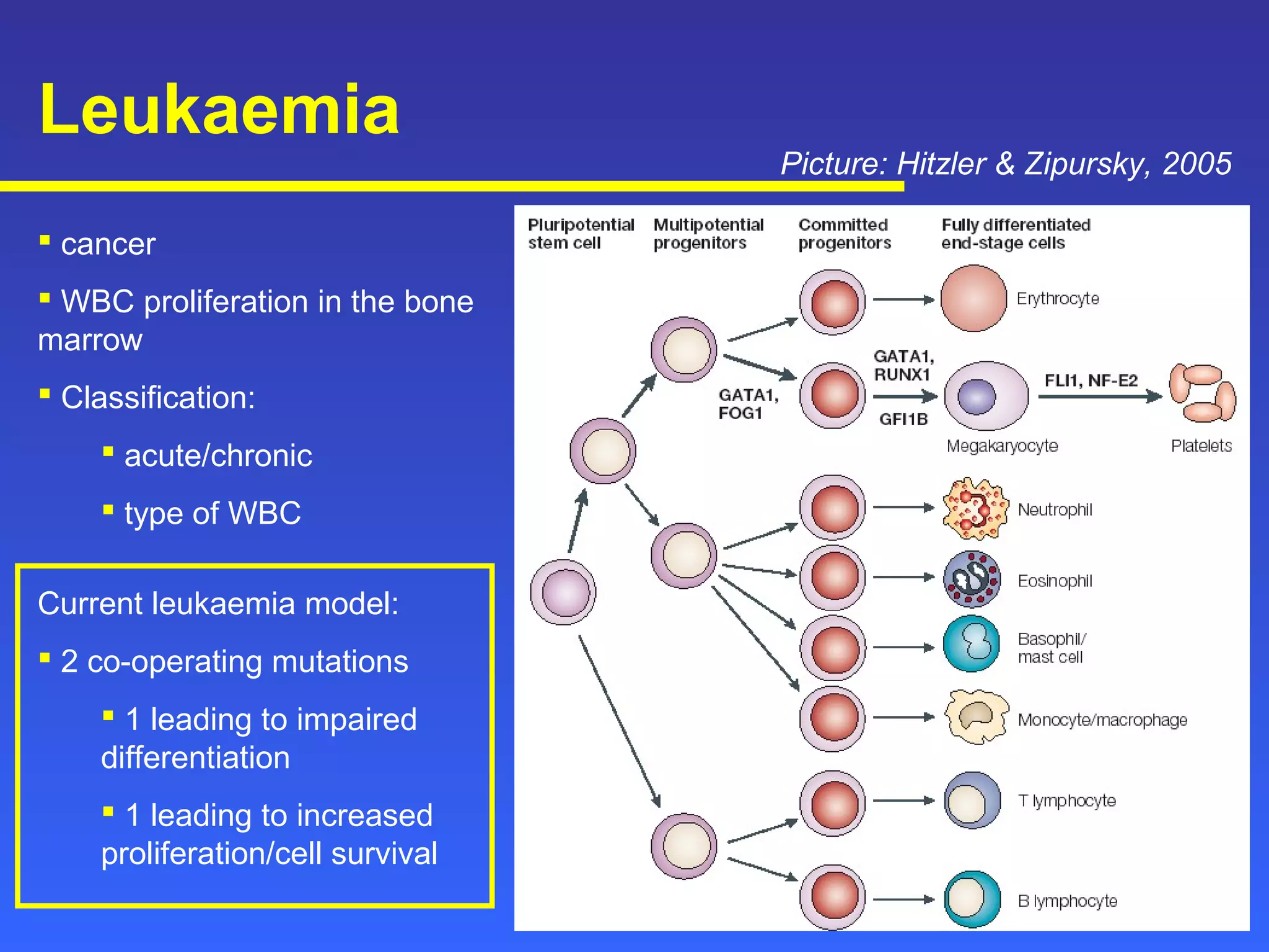 Leukaemia in Down's Syndrome | PPT