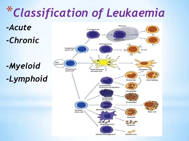 Leukaemia in periodontology