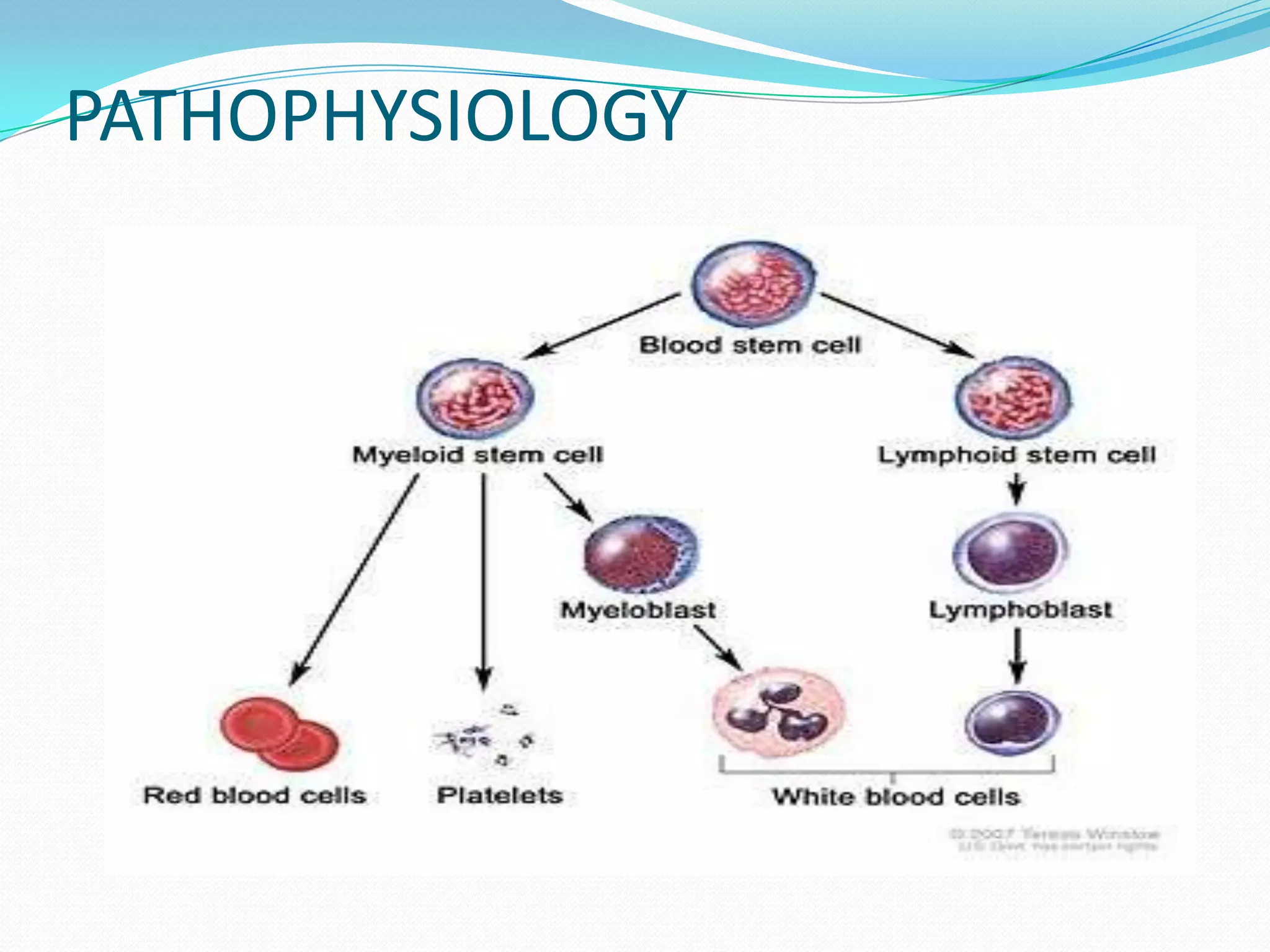 Leukemia | PPTX