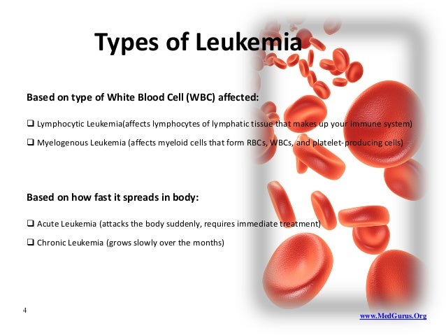Understanding Leukemia