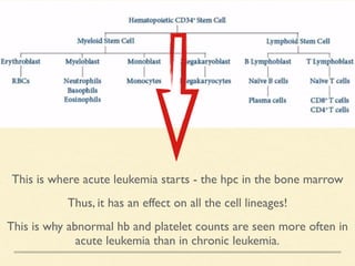 Leukemia | PDF