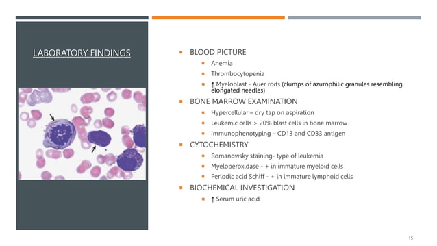 LEUKEMIA.pptx | Blood Disorders | Diseases and Conditions