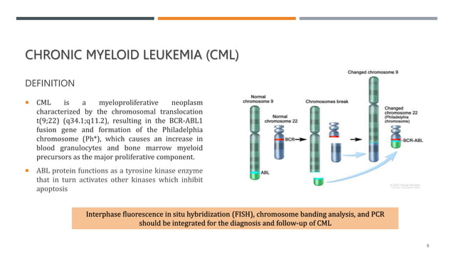 LEUKEMIA.pptx | Blood Disorders | Diseases and Conditions