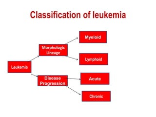 leukemia.pptx | Blood Disorders | Diseases and Conditions