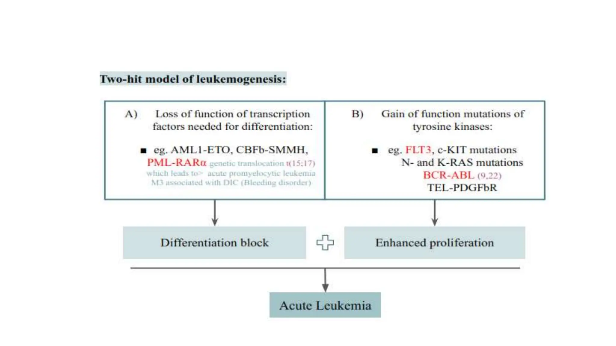 LEUKEMIALeukemia, historic perspective, etiology, risk factors ...
