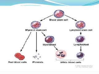 Nursing management of a patient with leukemia | PPTX