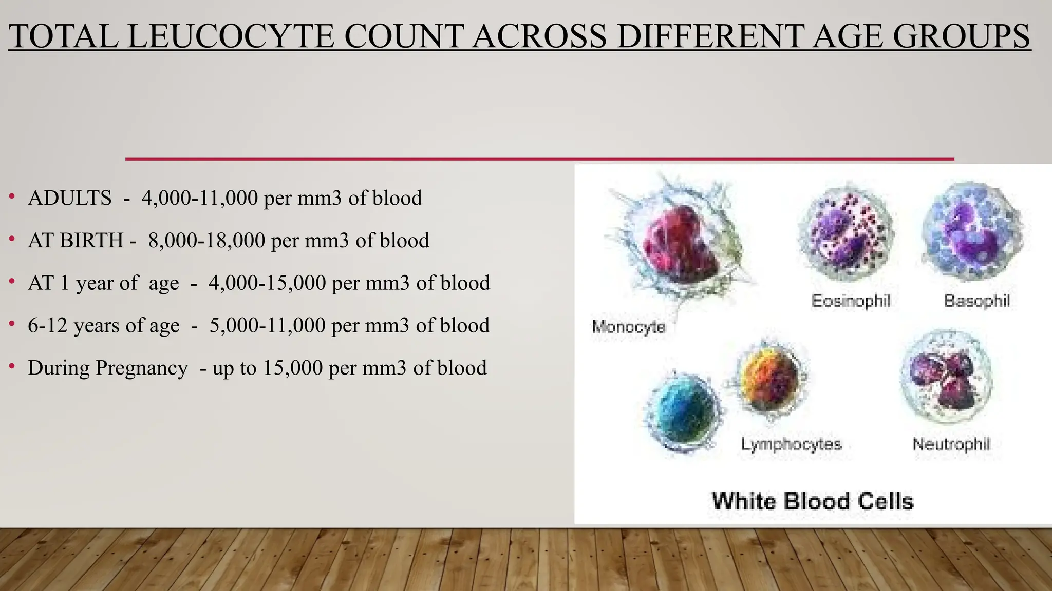 LEUKEMIA- BASICS AND THE CHARACTERISTICS | PPTX