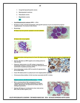 Leukemia --acute myeloid leukemia --- magdi sasi | PDF | Blood ...