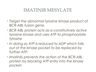 Leukemia | PPT | Blood Disorders | Diseases and Conditions