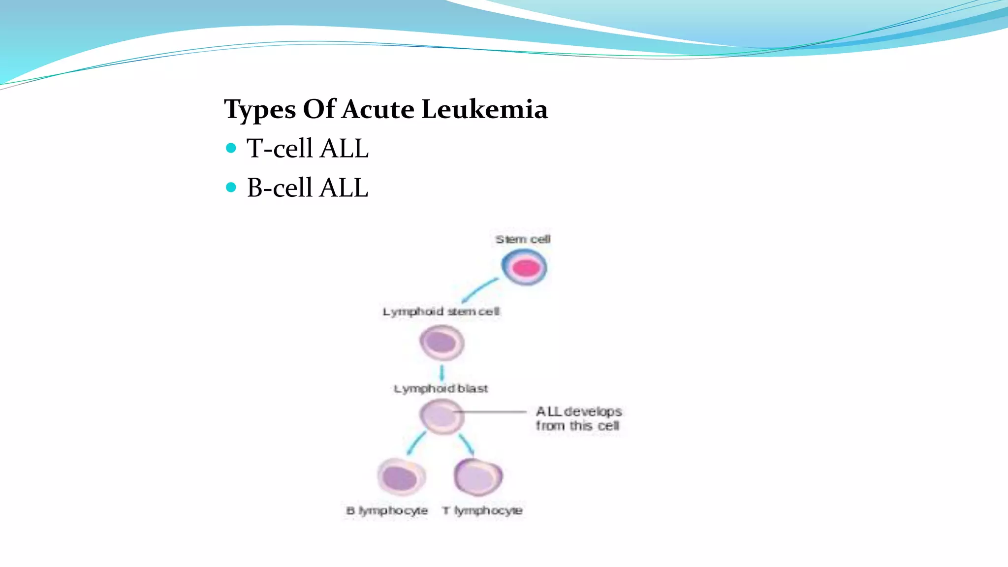 Leukemia and its types presentation 1 | PPTX