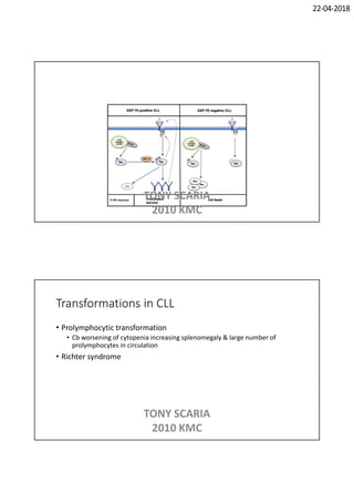 Leukemia and lymphoma PATHOLOGY REVISION NOTES | PDF
