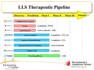 Leukemia Lymphoma Society: An Invitation to Innovation | PPT