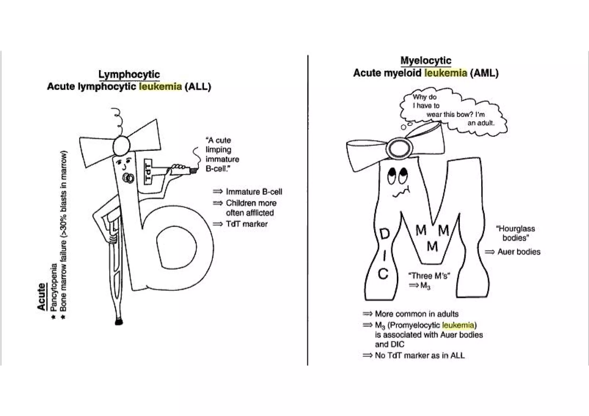 Leukemia visual mnemonics | PDF