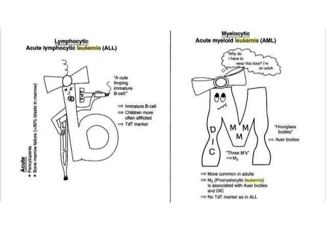 Leukemia visual mnemonics