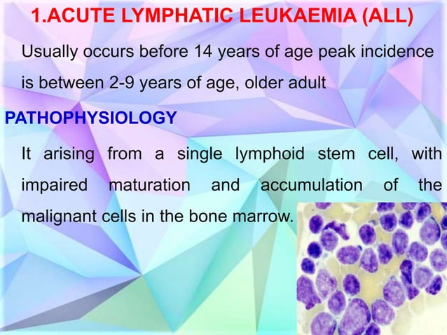 LEUKEMIA | PPTX | Blood Disorders | Diseases and Conditions