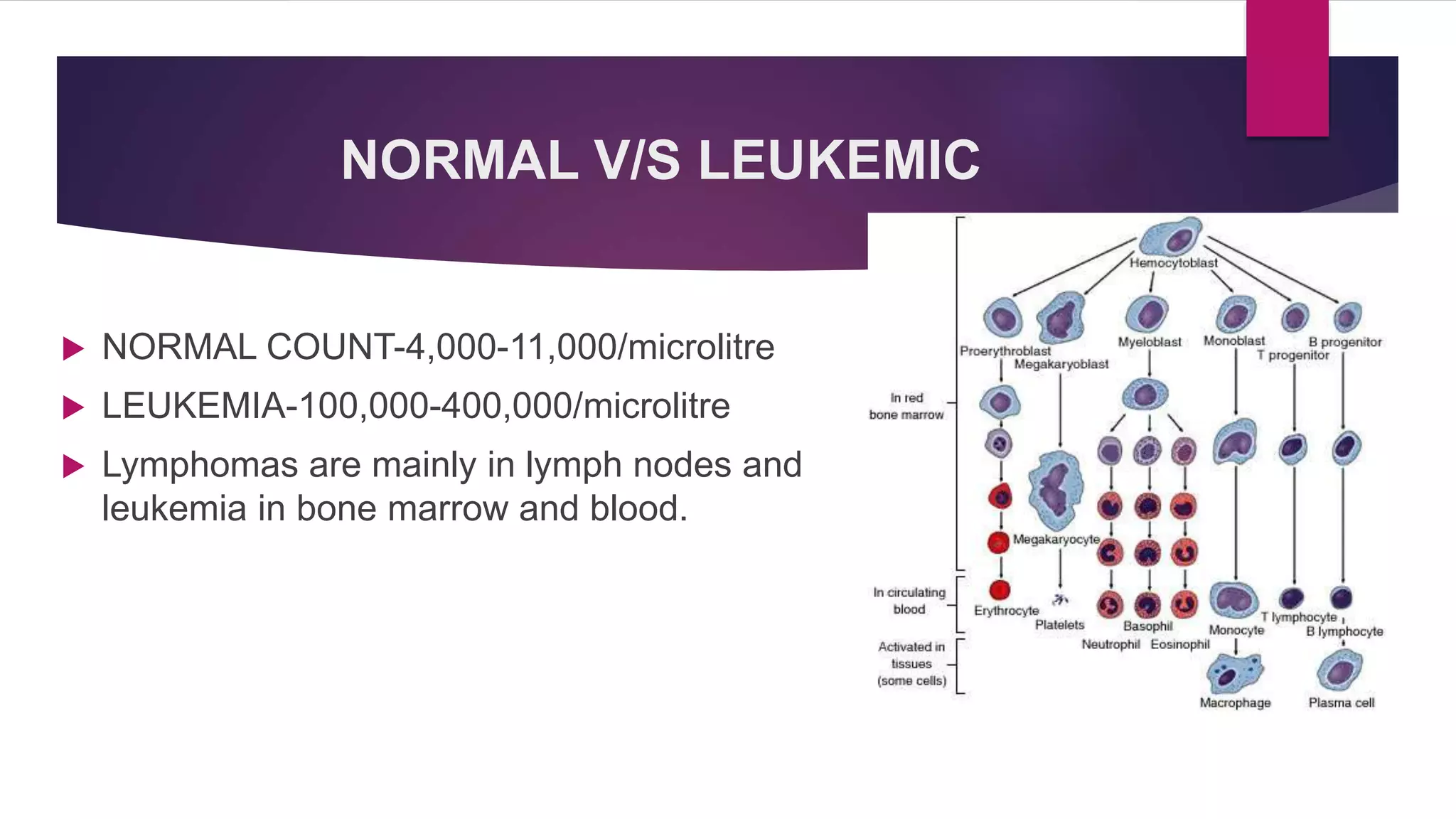 Leukemia ppt.pptx