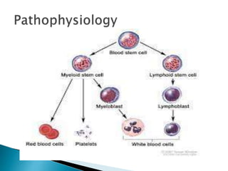 Leukemia ppt.pptx