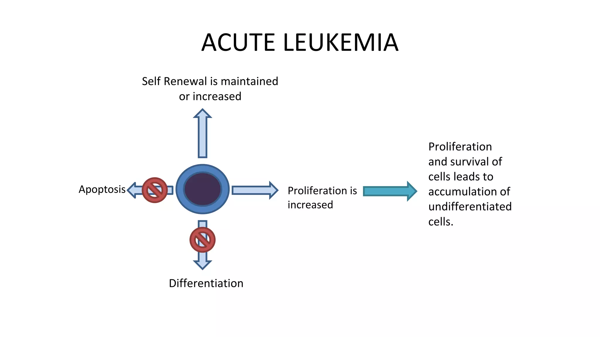Leukemia presentation | PPT