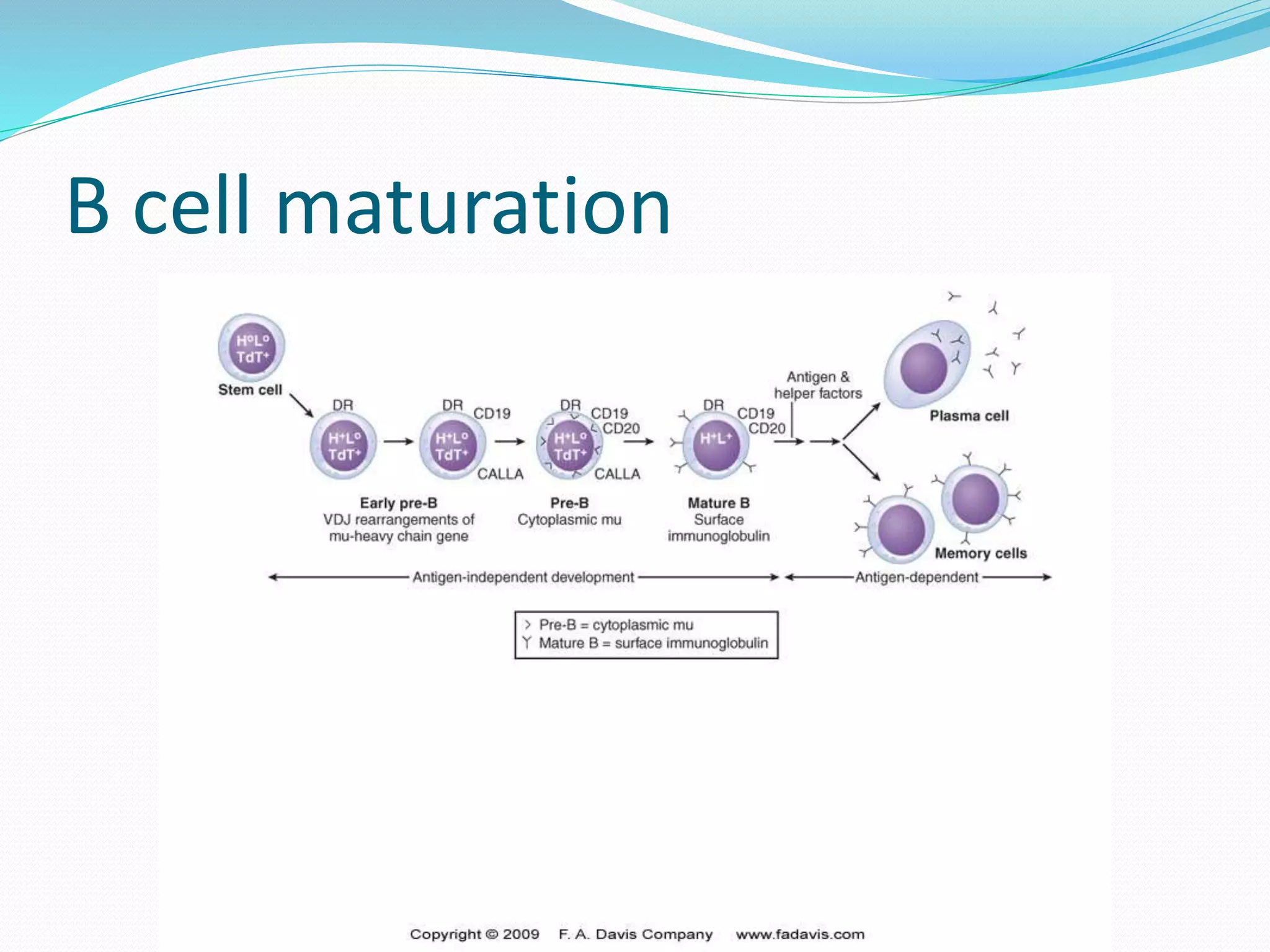 Leukemia | PPTX