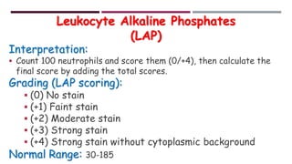 Leukocyte Alkaline Phosphatase Stain | PDF