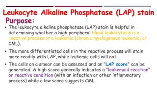 Leukocyte Alkaline Phosphatase Stain | PDF