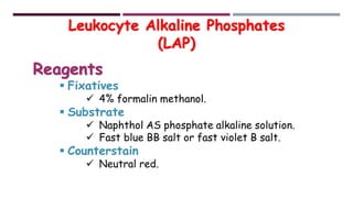 Leukocyte Alkaline Phosphatase Stain | PDF
