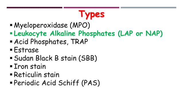 Leukocyte Alkaline Phosphatase Stain