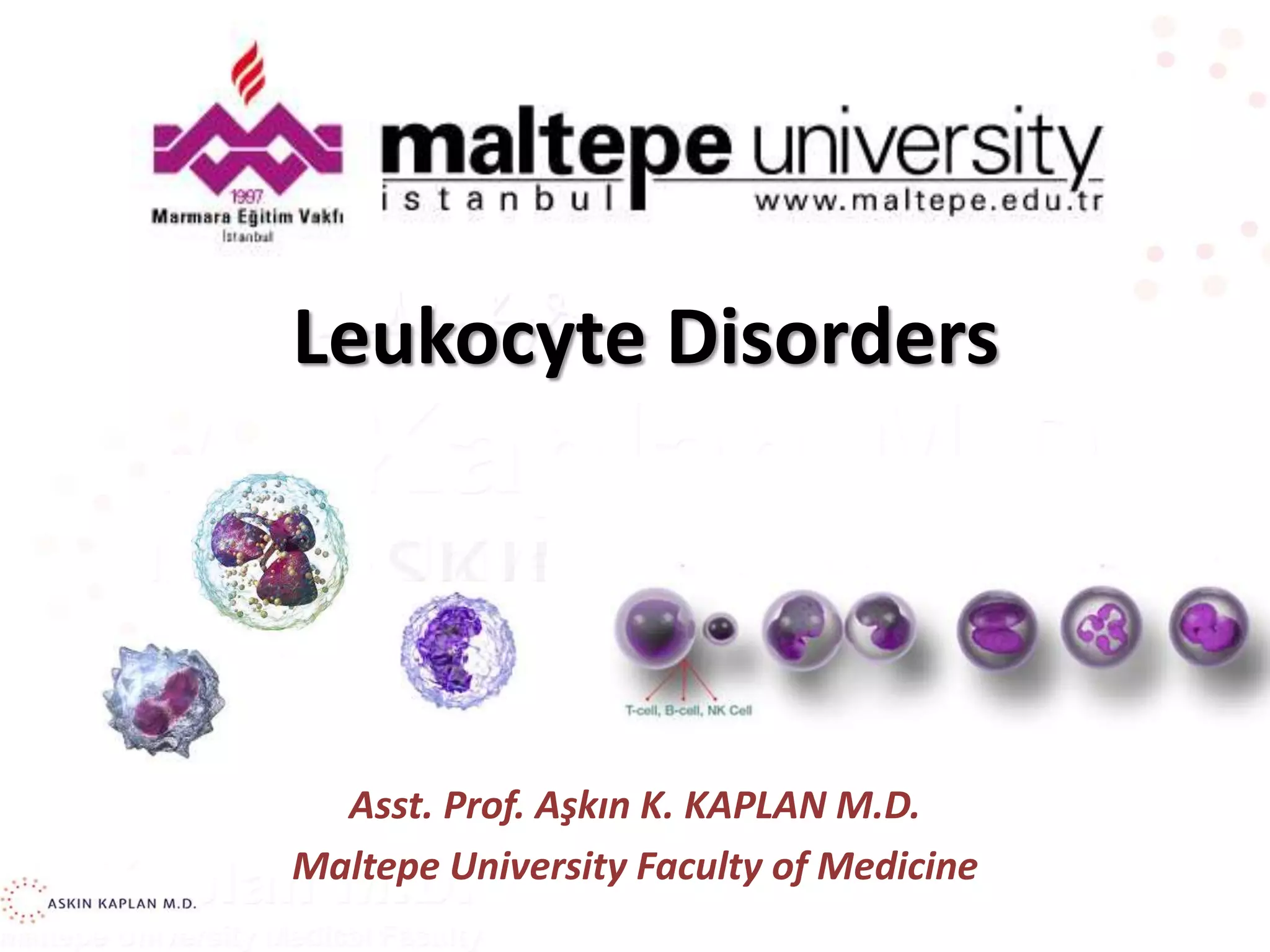 Leukocyte Disorders Pptx