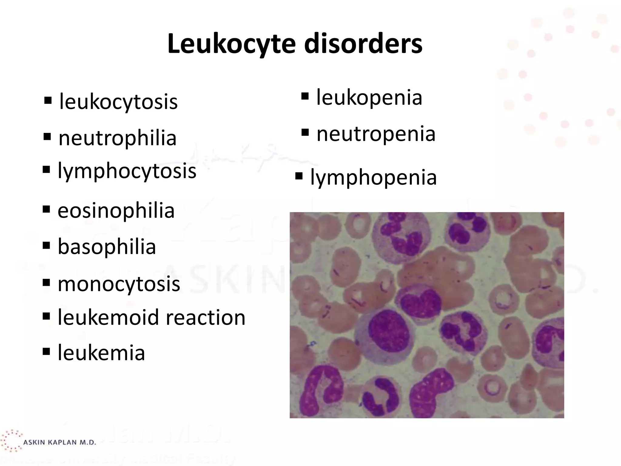Leukocyte Disorders Pptx