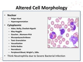 Leukocyte disorders akk | PDF