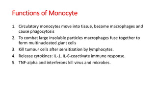 Leukocyte Formation, Functions, and the Reticuloendothelial system (1).pdf