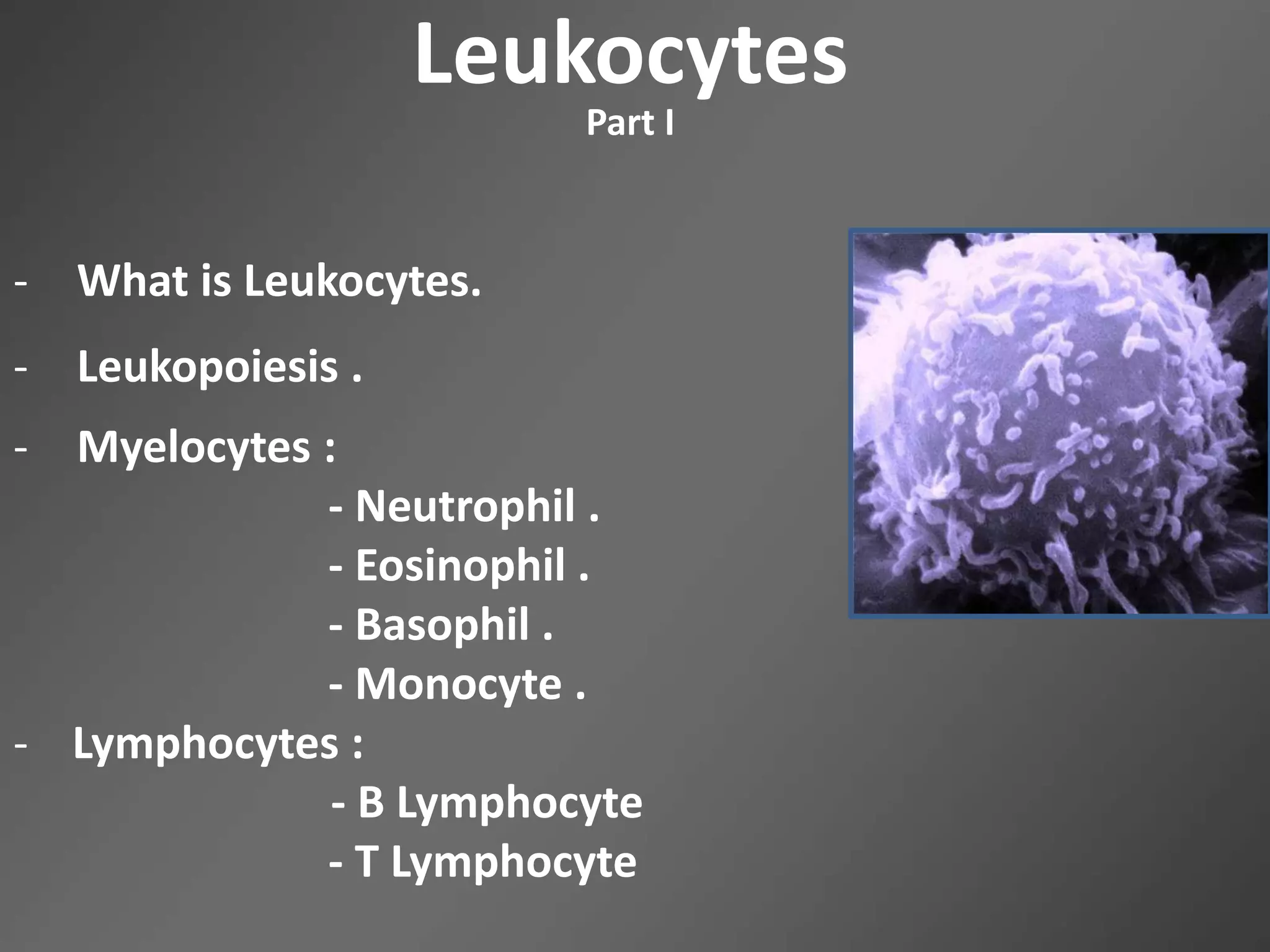 Leukocytes - Advance Hematology | PPTX