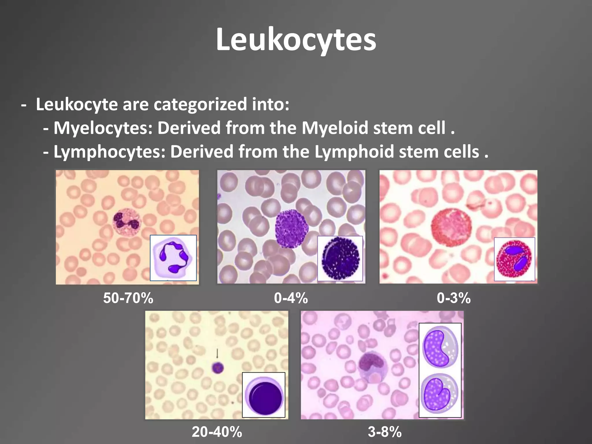 Leukocytes - Advance Hematology | PPTX