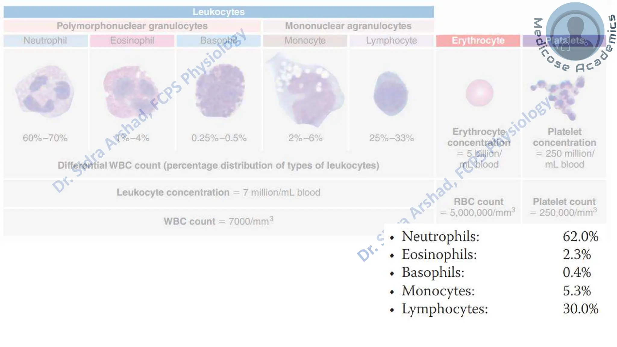 Hematology and Immunology - Leukocytes Functions | PDF