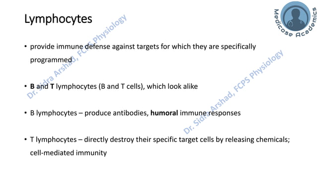 Hematology and Immunology - Leukocytes Functions | PDF
