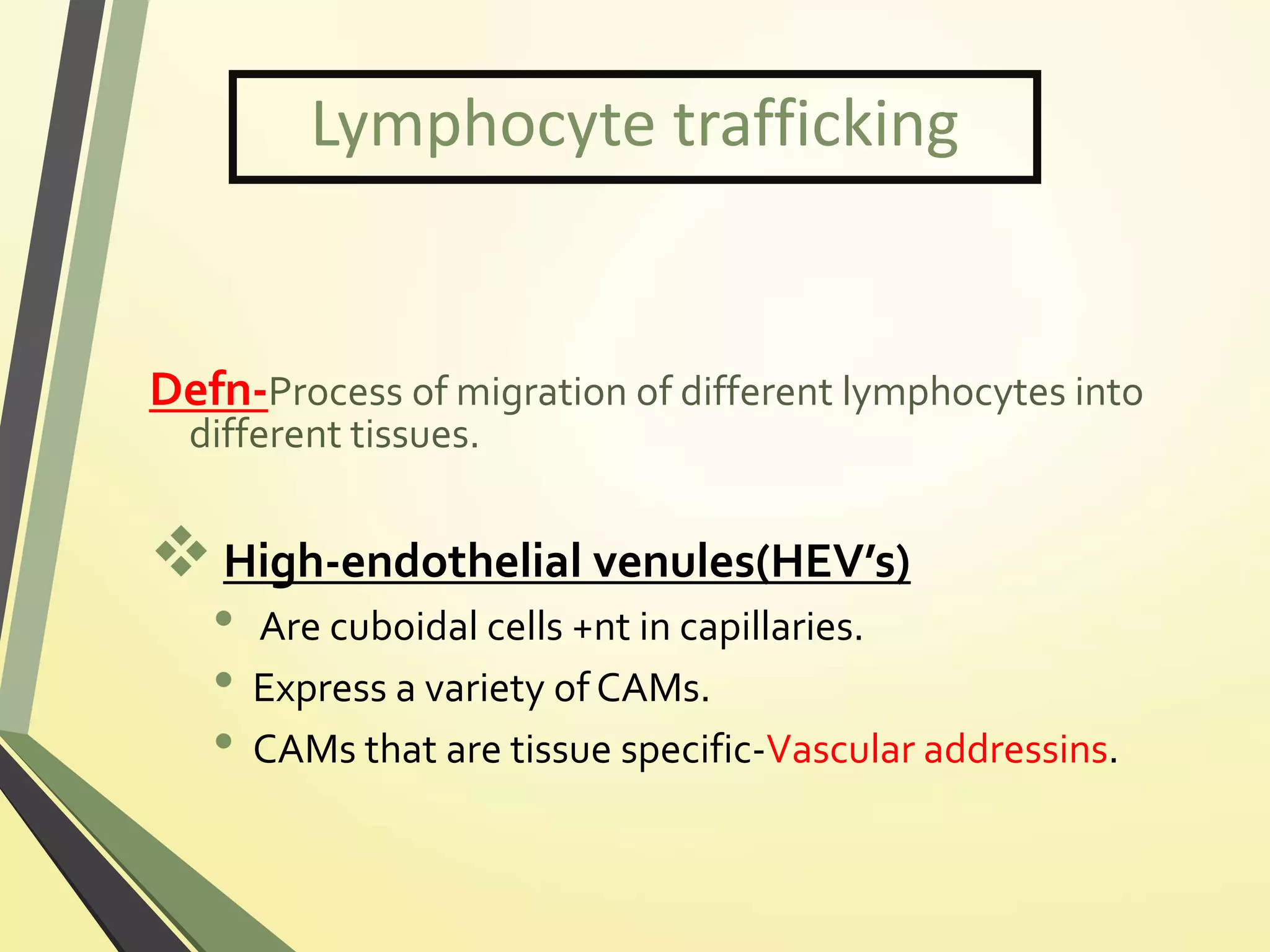 Leukocyte trafficking | PPT