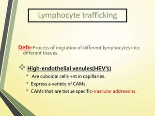 Leukocyte trafficking | PPT