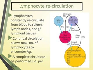 Leukocyte trafficking | PPT